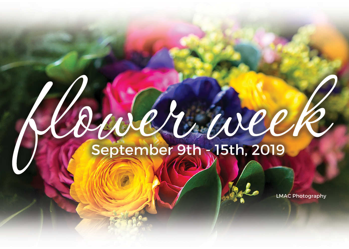 Flower Week Giveaway (Joined) | Today's Bride